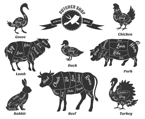 Diagrams for butcher shop, a Graphic by Microvector