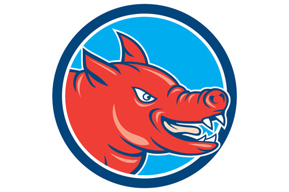 Angry Pig Head Circle Cartoon, an Animal Illustration by patrimonio ...