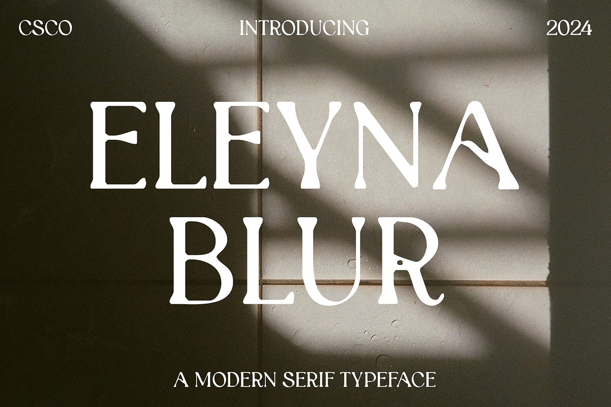 Eleyna Blur, a Serif Font by Craft Supply Co.