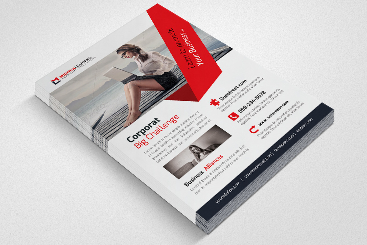 Business Opportunity Flyer Template, a Flyer Template by Design Up