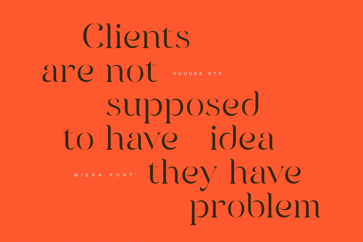 Meika Font, a Serif Font by vuuuds