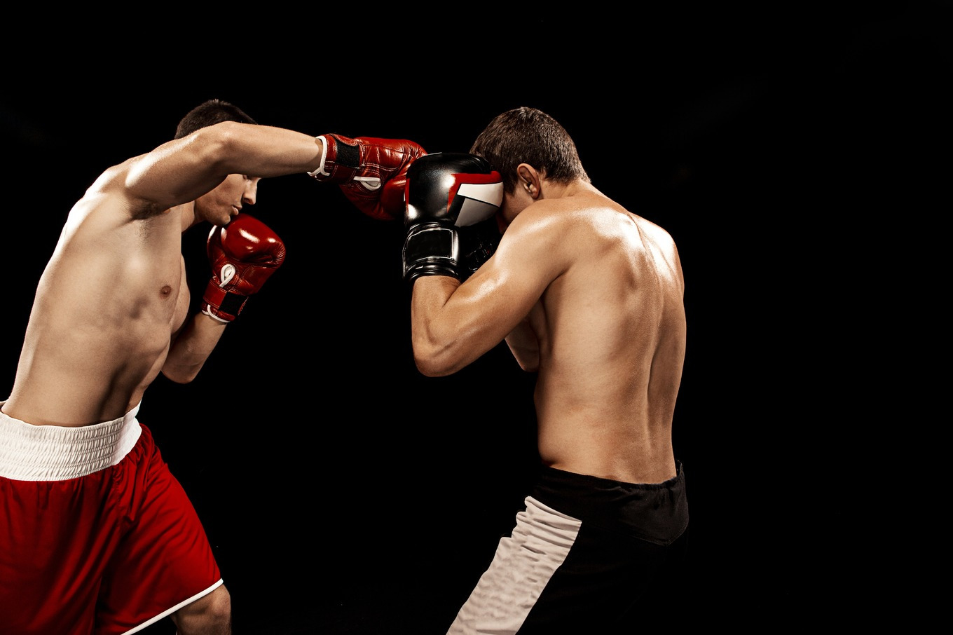 Two professional boxer boxing on black background containing boxing ...