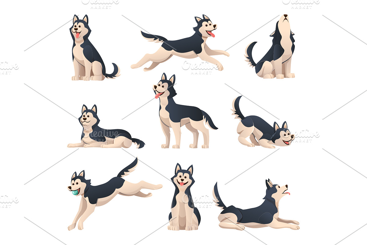 Husky Cartoon - 9 Poses
