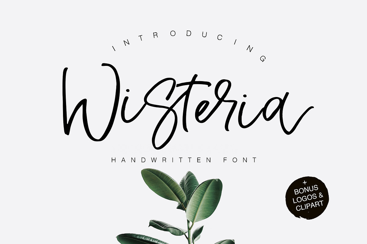 Wisteria Script, a Script Font by Calamar Studio