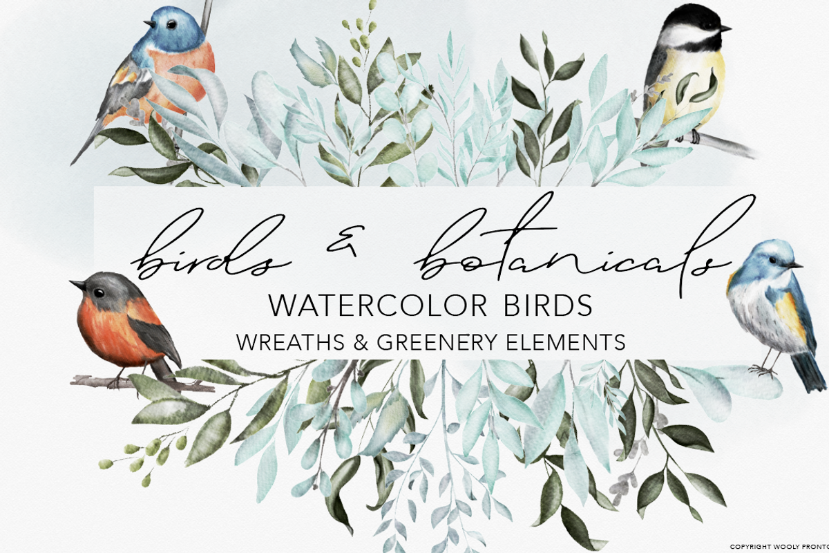 Birds & Botany: Watercolor Frames, a Texture Illustration by Wooly ...
