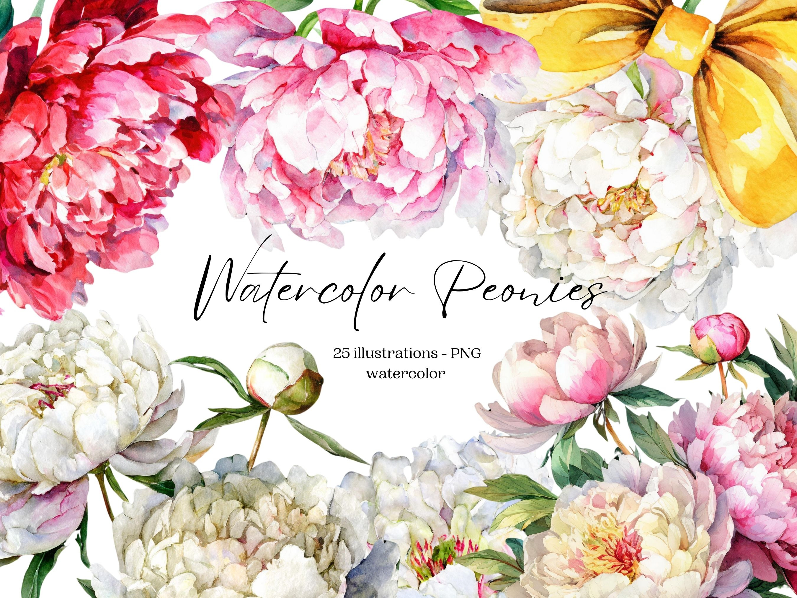 Watercolor Peonies Multicolor Bundle, a Decorative Illustration by ...
