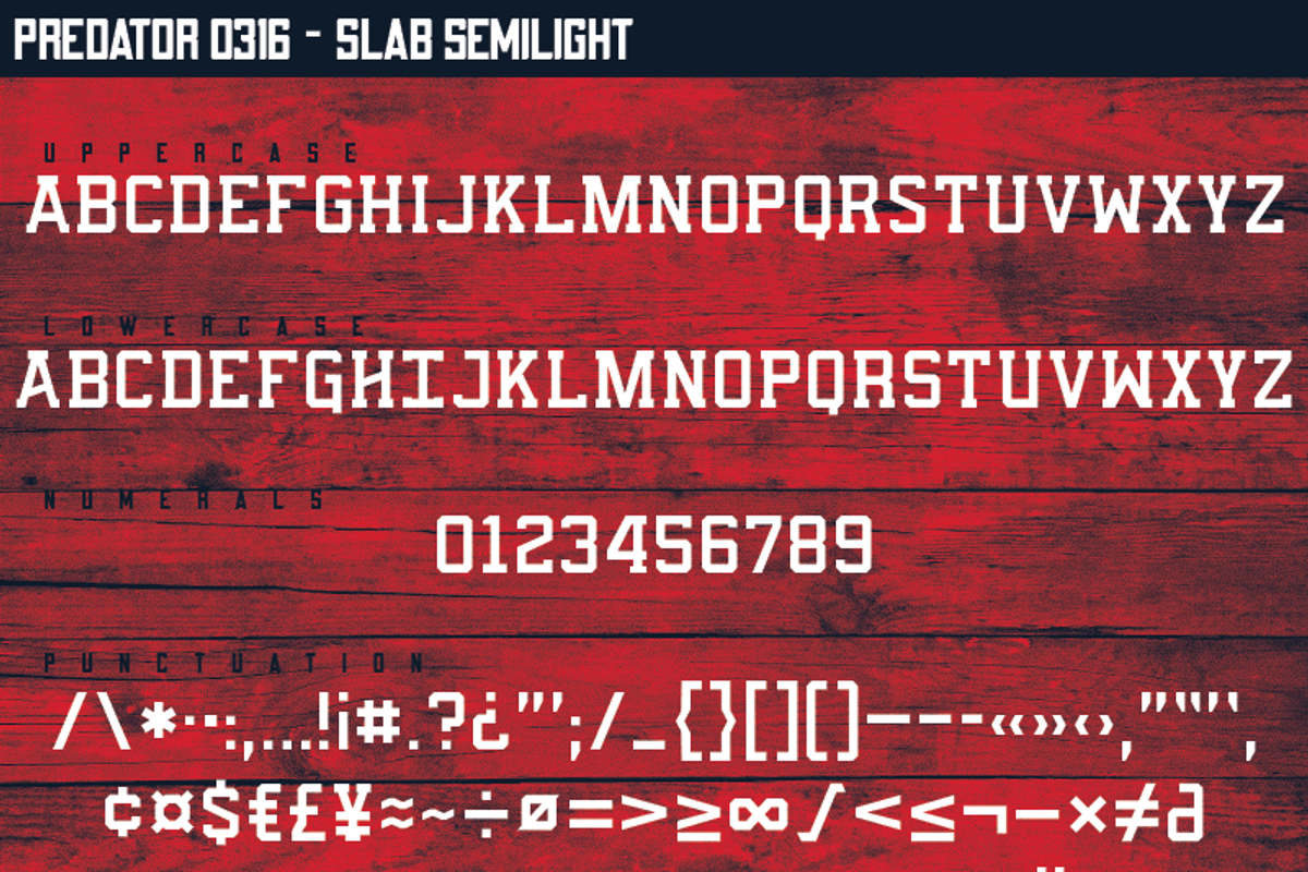 Predator 0316 - Full Family, a Sans Serif Font by American Eargle