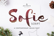 Sofie Script, a Script Font by JROH Creative | Creative Market