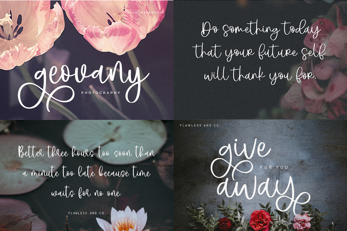 Modern Script Font Bundle