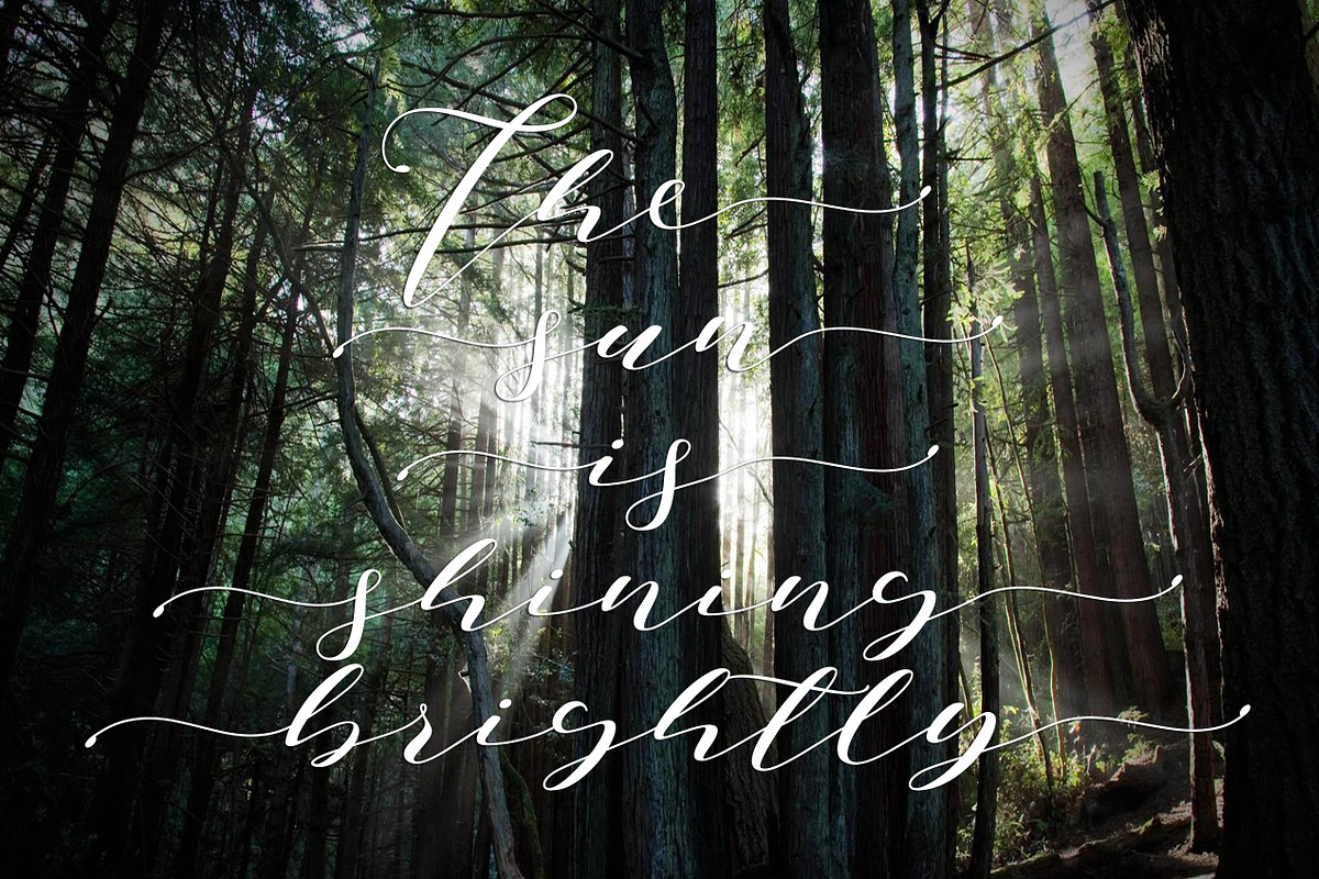 Notetail Script Typeface, a Script Font by alphadesign