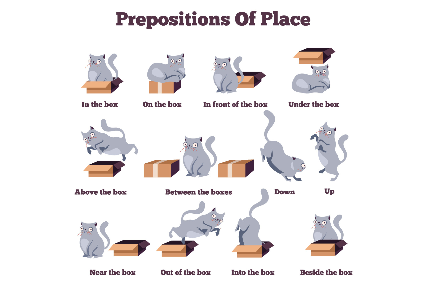 Prepositions of place English, an Animal Illustration by PrettyVectors