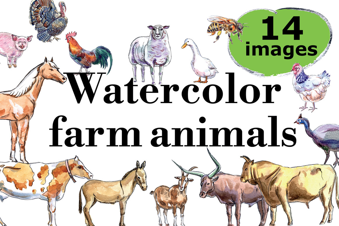 Watercolor farm animals, an Animal Illustration by miminoshka