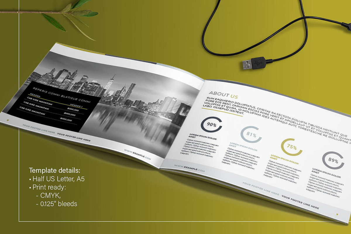 Business Brochure InDesign Template, a Brochure Template by R-studio