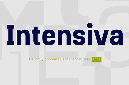 Intensiva Font Family, a Sans Serif Font by Graviton Font Foundry