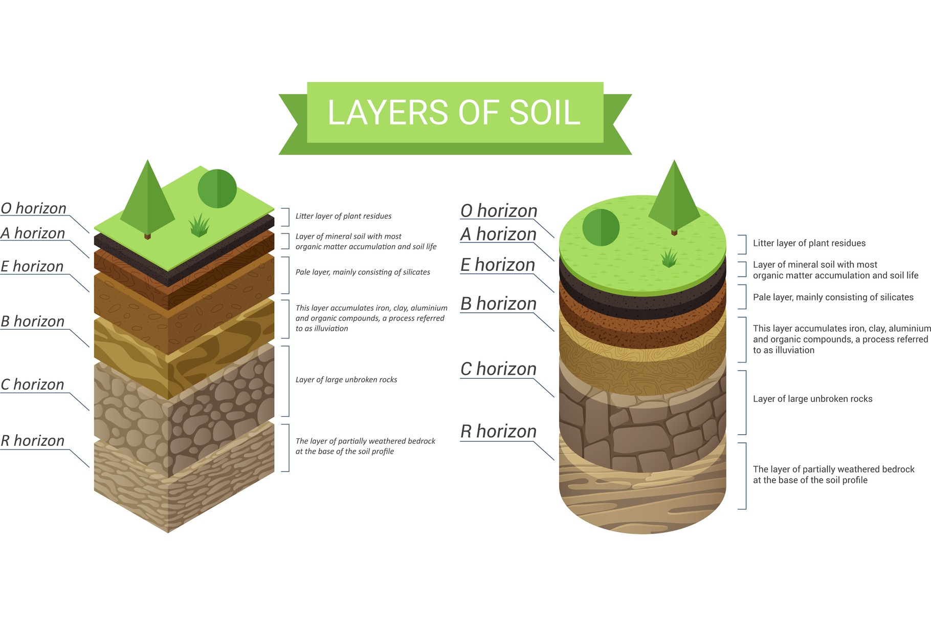 Soil layers infographic | Education Illustrations ~ Creative Market