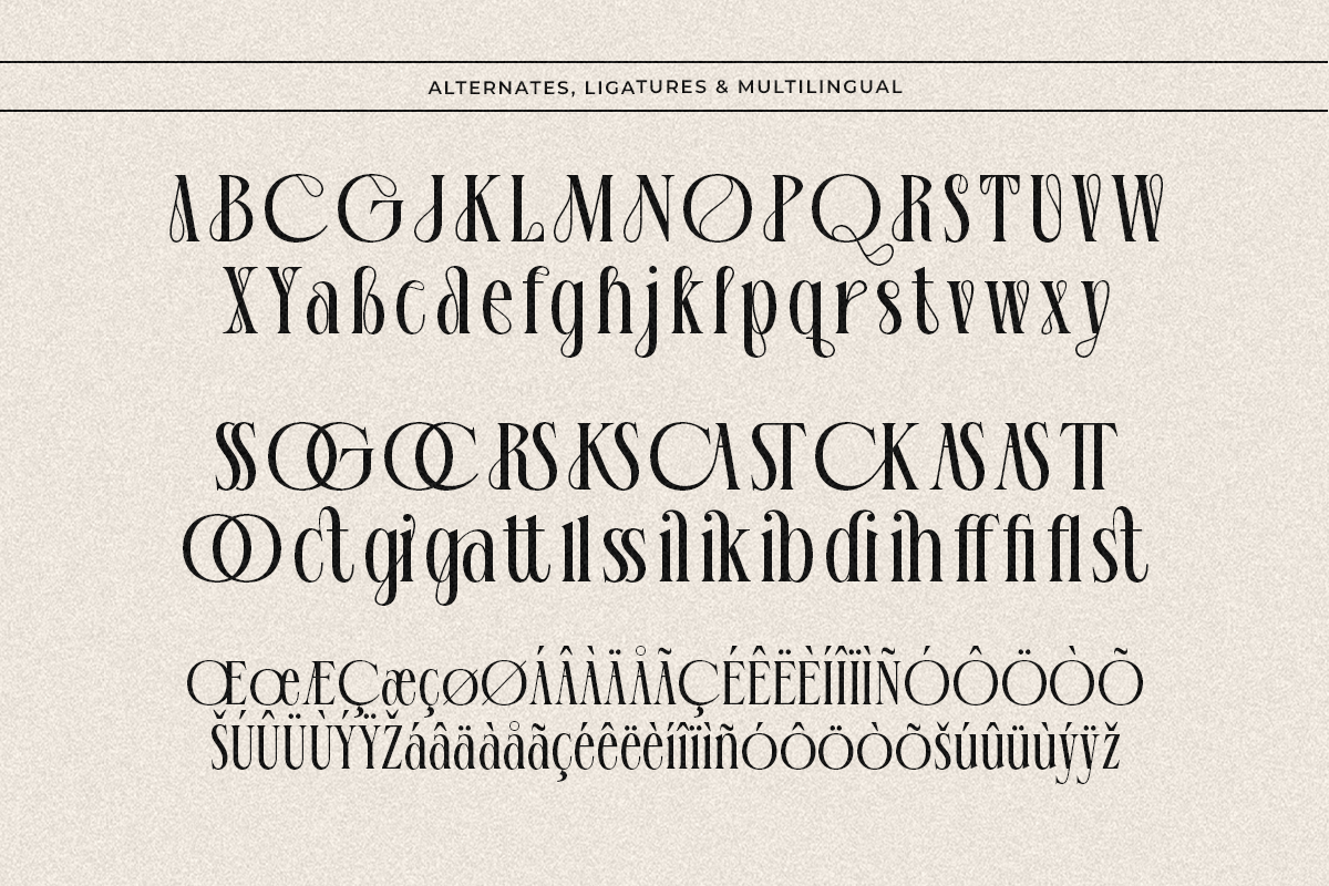 Paradise Seashore - Tropical Serif, a Serif Font by Shakira Studio