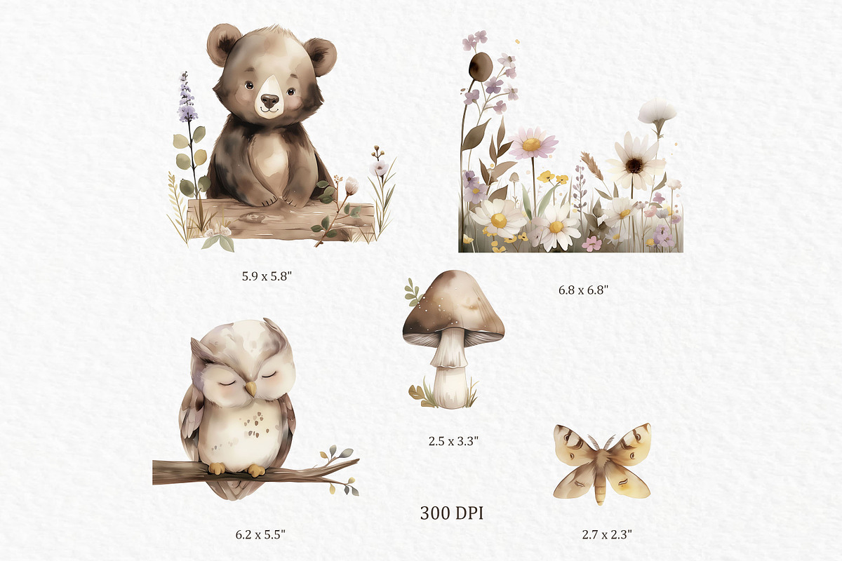 Woodland animals png clipart, an Object Graphic by MyLittleMeow