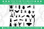 Insect Svg, Bug, Nature Svg, an Object Graphic by VectorWorlds
