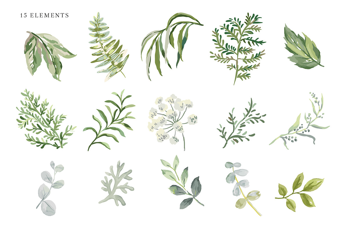 Forest greenery. Vector collection, an Object Illustration by OJardin