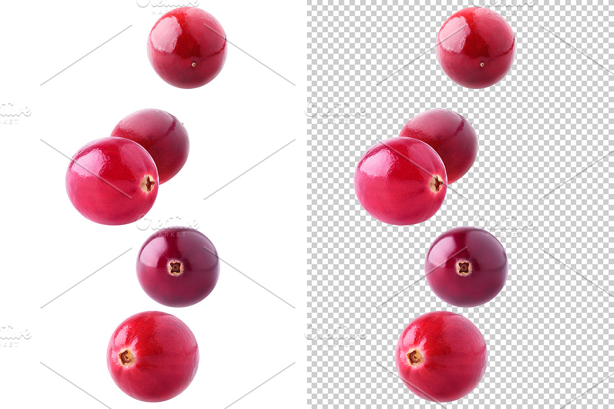 Cranberries, an Object Graphic by Fruits+Veggies