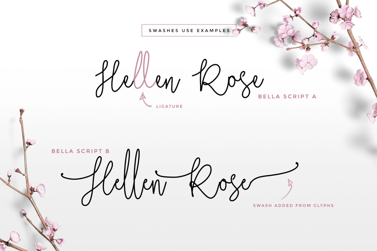 Bella Script Font, a Script Font by Graphicdome