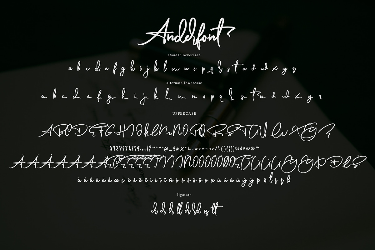 Anderfont - a Signature Font, a Script Font by alphArtype
