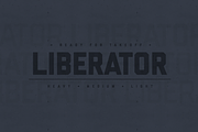 Liberator Family, a Sans Serif Font by Ryan vs. Clark
