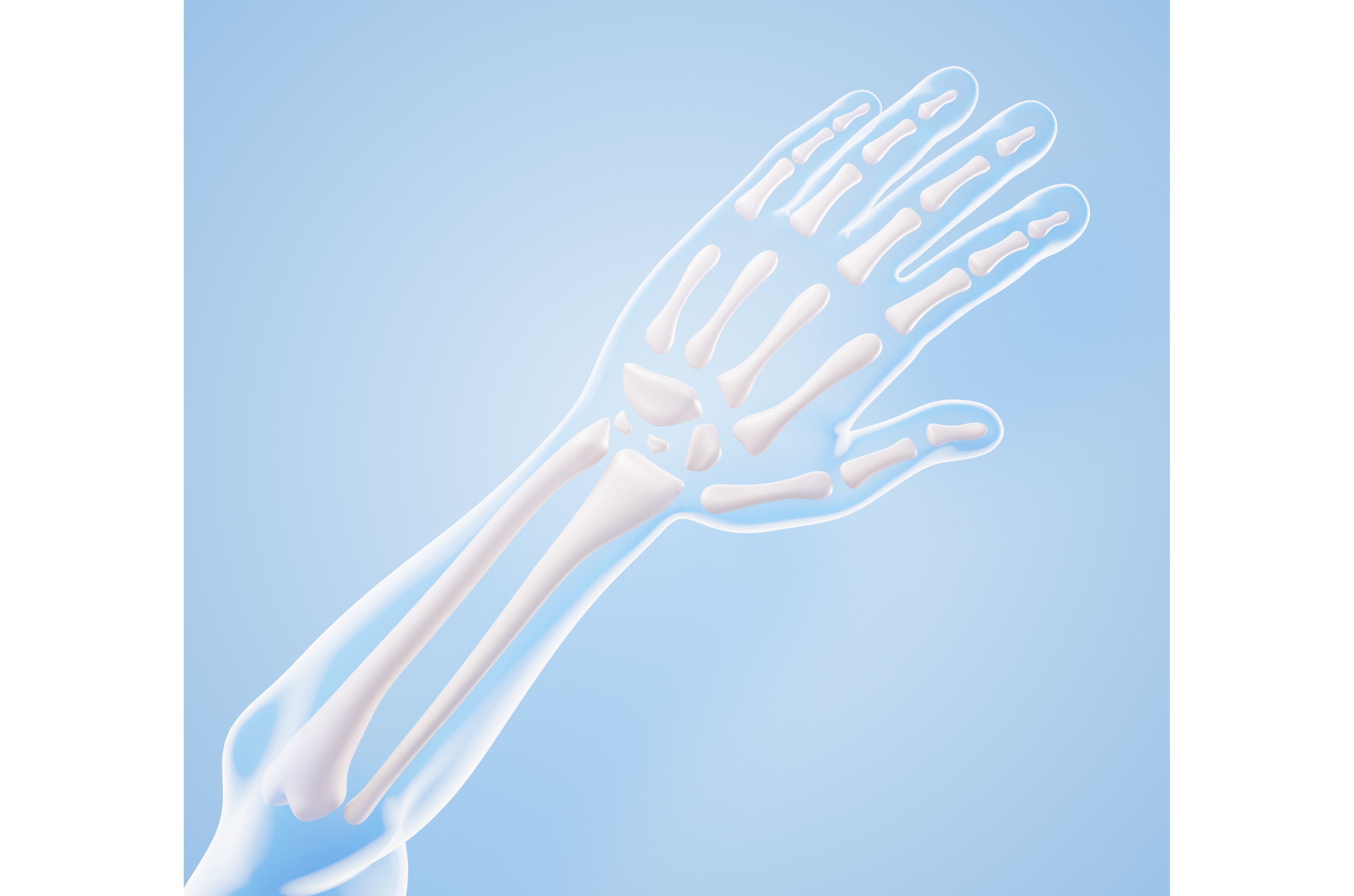Hand anatomy 3D model - bones, a Healthcare Illustration by Marozhkastudio