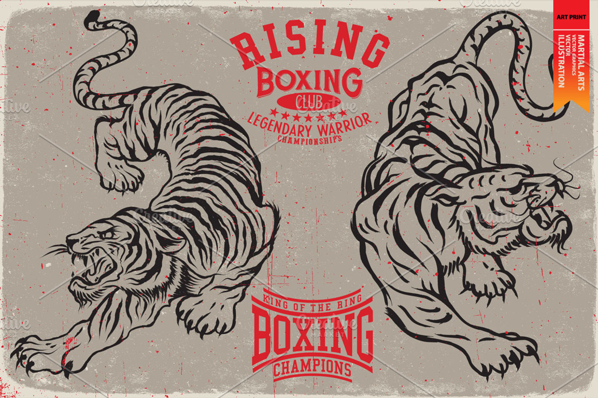 BOXING, an Animal Illustration by Artistic & Unique