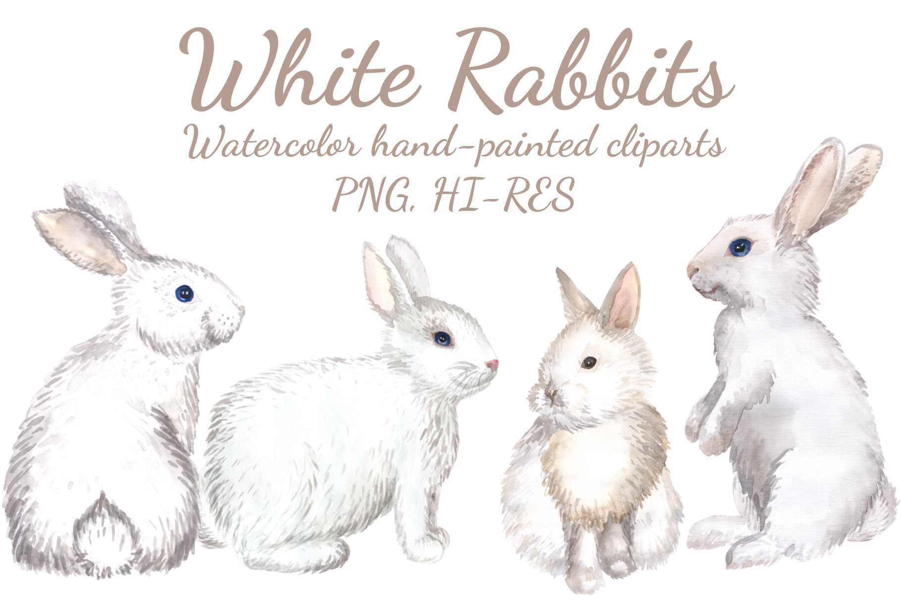 White Rabbits Watercolor, an Animal Illustration by Sveta Aho