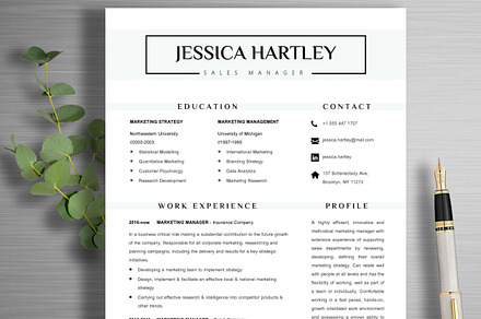 Resume Template | Terry, a Resume Template by ResumeWorkshop