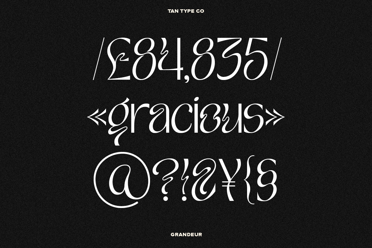TAN - GRANDEUR, a Sans Serif Font by TanType