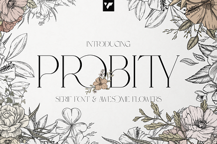 Cally Font & Graphics | Serif Fonts ~ Creative Market