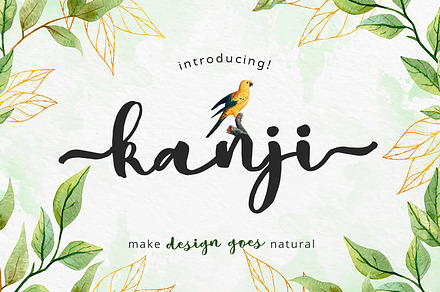 Jet Seat Script, a Script Font by Apon Bahrainy