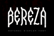 Bereza | nature font | Sans Serif Fonts ~ Creative Market