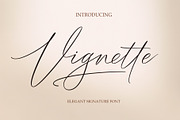 Vignette Signature Font, a Script Font by Byuly Ayika