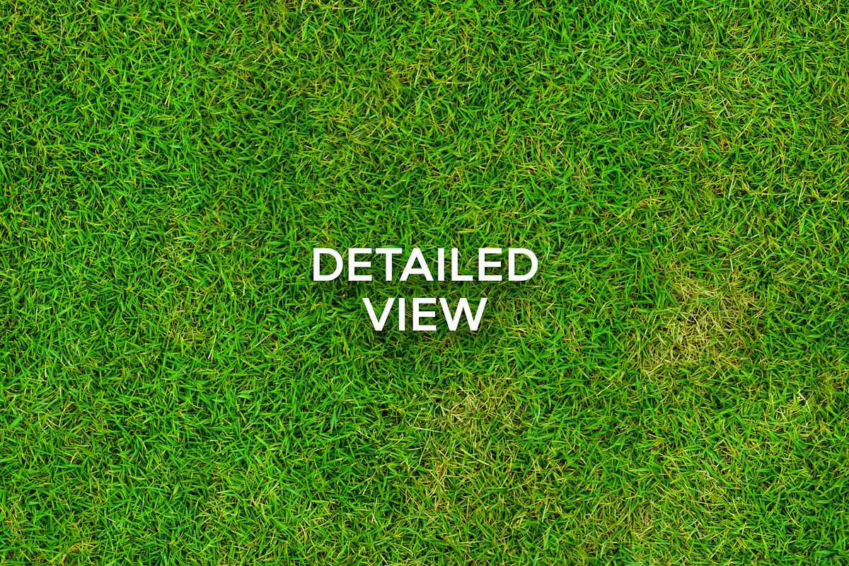 20 Seamless Grass Texture Pack, a Texture Graphic by Top Textures