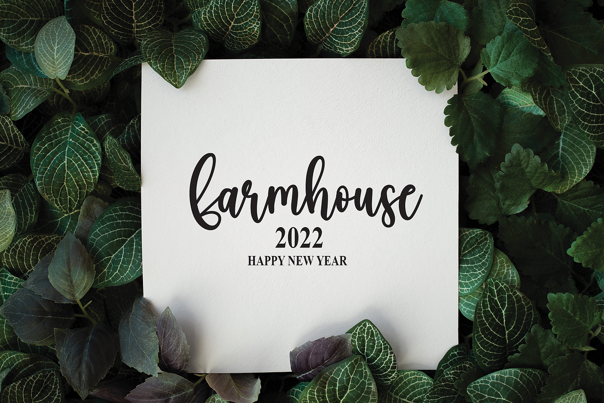 Boho | Script Font, a Script Font by Scratchones | Creative Market