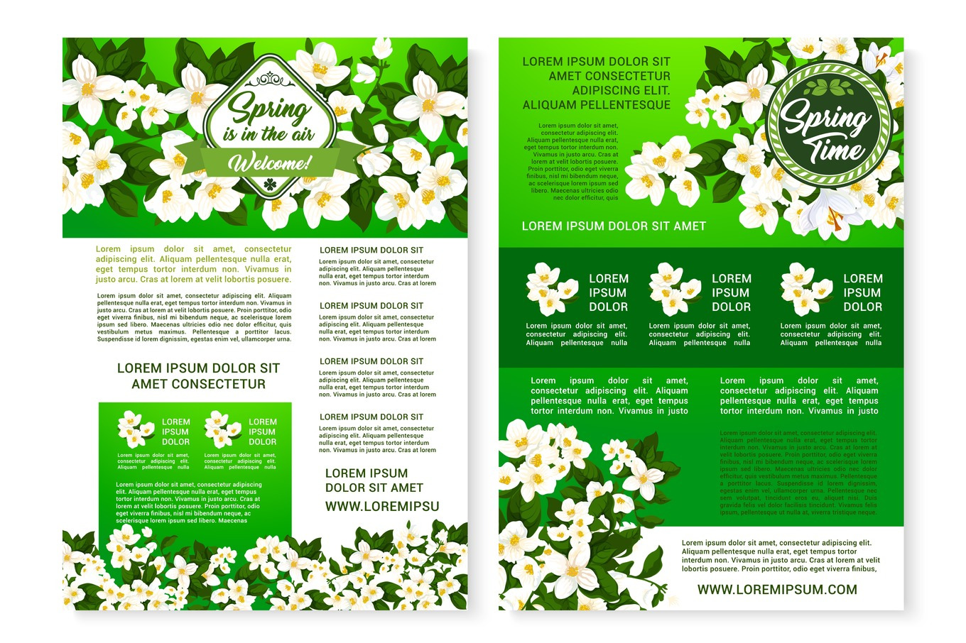 Spring garden flowers poster template design, an Illustration by Vector ...
