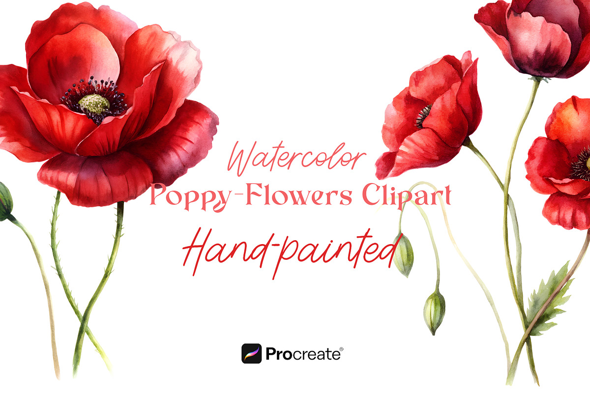 Hand-Painted Watercolor Poppy Flowers