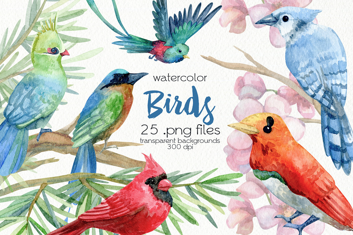 Watercolor Birds Clipart, an Animal Illustration by OllyKo Art