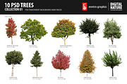 10 PSD Trees Collection 1, an Object Graphic by envirographic