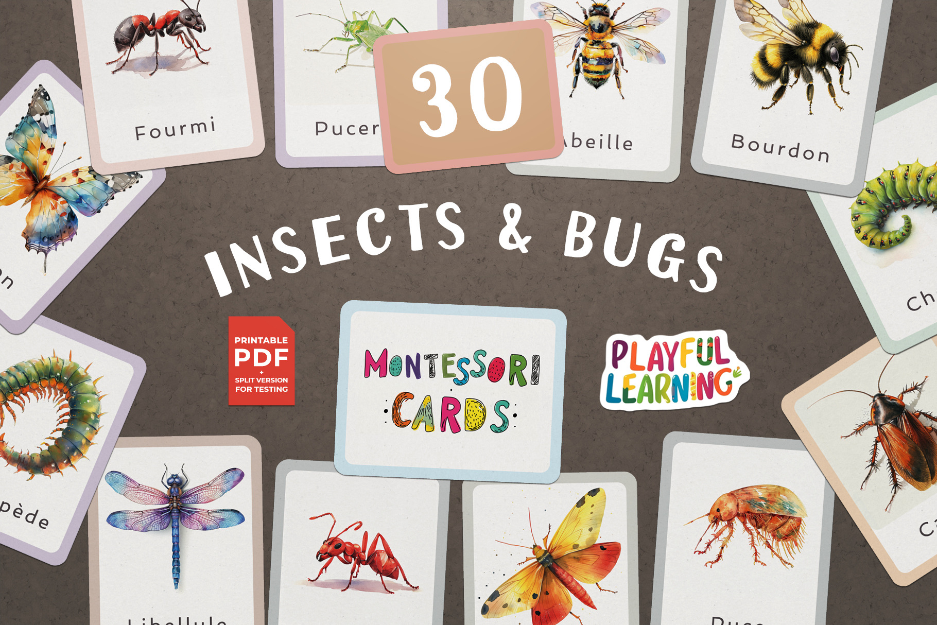Insects and Bugs Montessori Cards