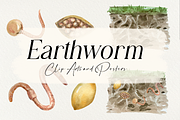 Earthworm Life Cycle Clipart & Print, an Education Illustration by Tati ...