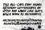 Pascal, a Handwritten Font by Leitmotif