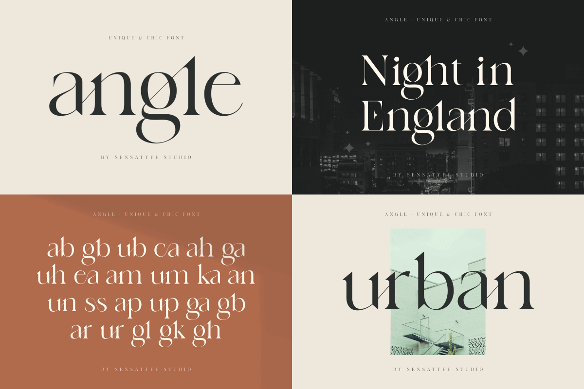 Unique & Classy Modern Font Bundle, a Serif Font by Sensatype