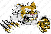 Angry wildcat sports mascot, an Animal Illustration by Christos Georghiou