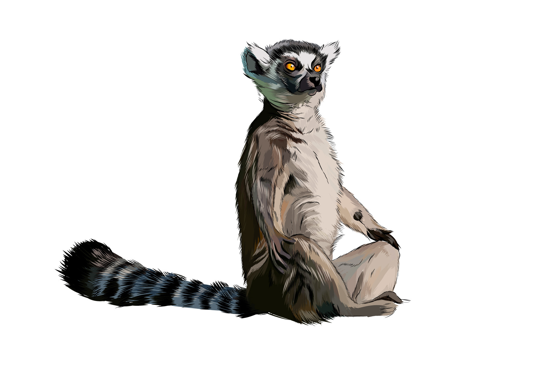 Lemur from a splash of watercolor | Animal Illustrations ~ Creative Market
