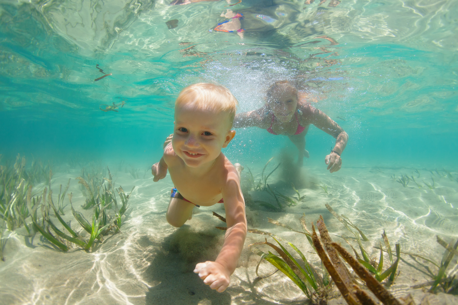 Child dive underwater in blue sea, a Person Photo by Tropical Studio ...