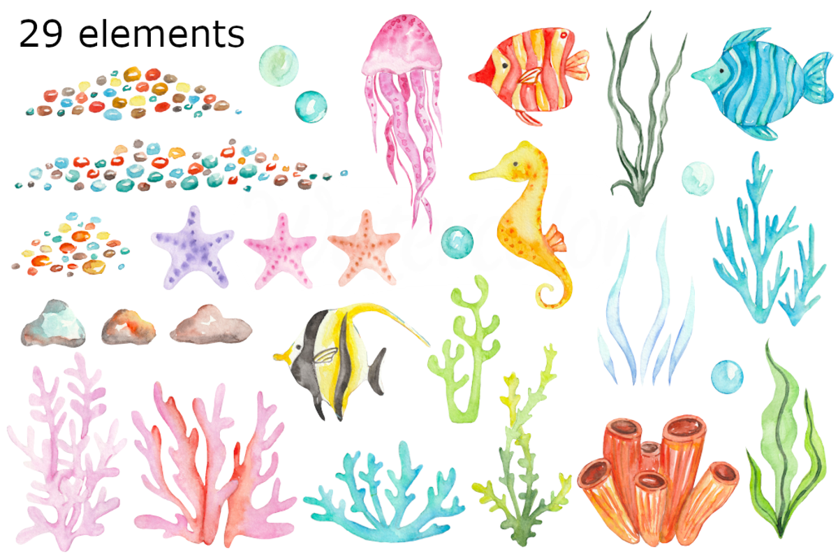 Underwater watercolor clipart, a Graphic by GoodFairyClipArt